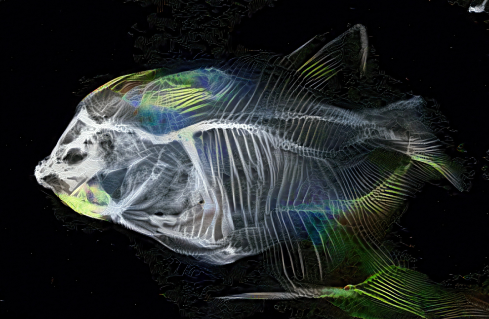 Sofia Crespo's Neural Zoo: AI meets human creativity ‹ KATE STOCKMAN